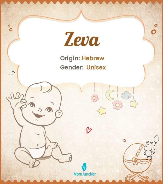 Explore Zeva: Meaning, Origin & Popularity