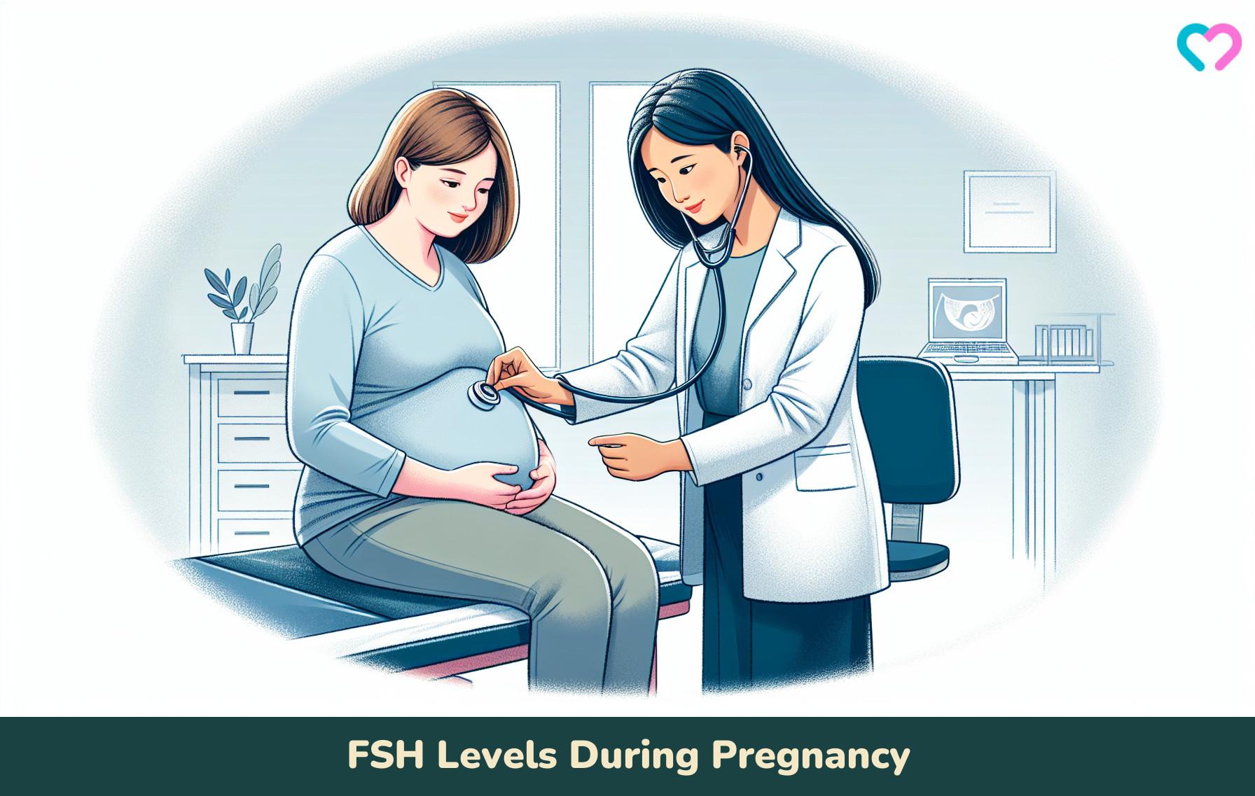 FSH Levels During Pregnancy | MomJunction