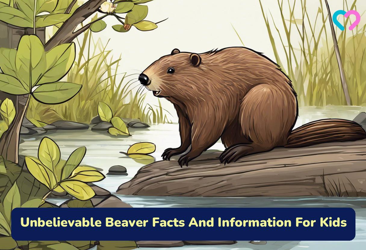 21 Unbelievable Beaver Facts And Information For Kids