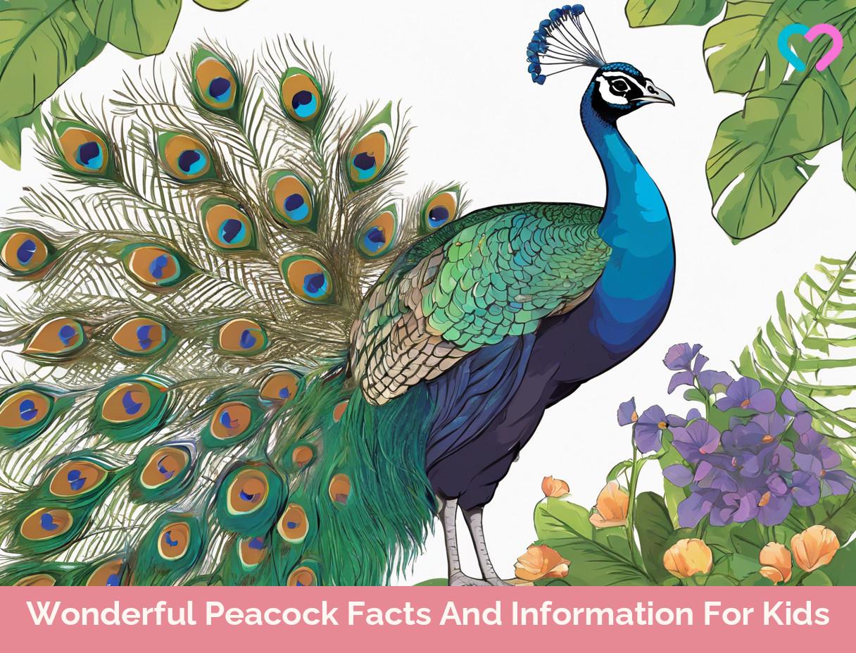 25 Wonderful Peacock Facts And Information For Kids | MomJunction